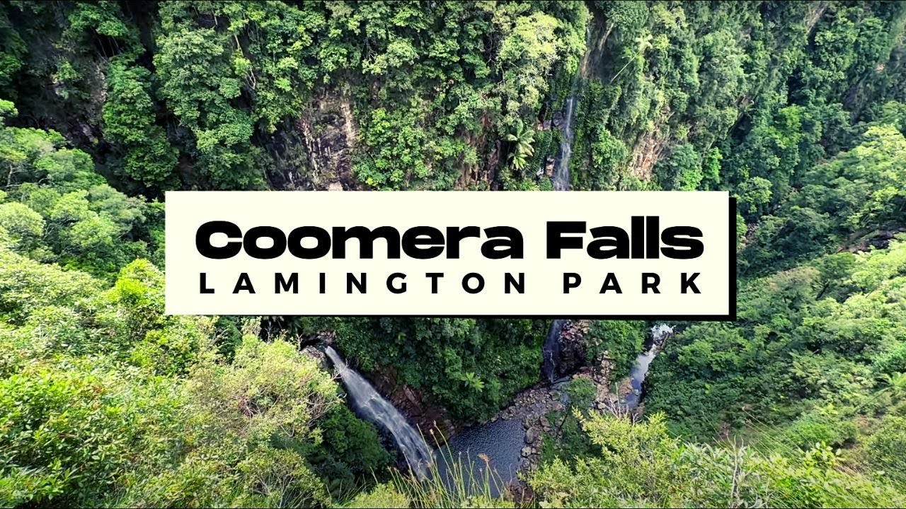Australia Travel | Lamington National Park | Walk to Coomera Falls | 4K ...