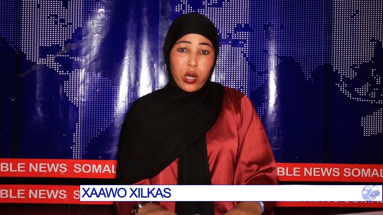 WARARKA SOMALI CABLE TV IYO Xaawo XILKAS 24 10 2024. - YouTube