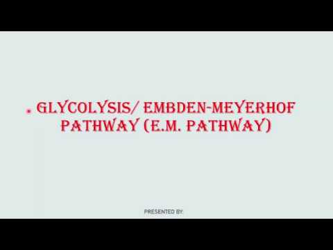 Glycolysis/ Embden-Meyerhof pathway (E.M. pathway) Biochemistry for PCI ...