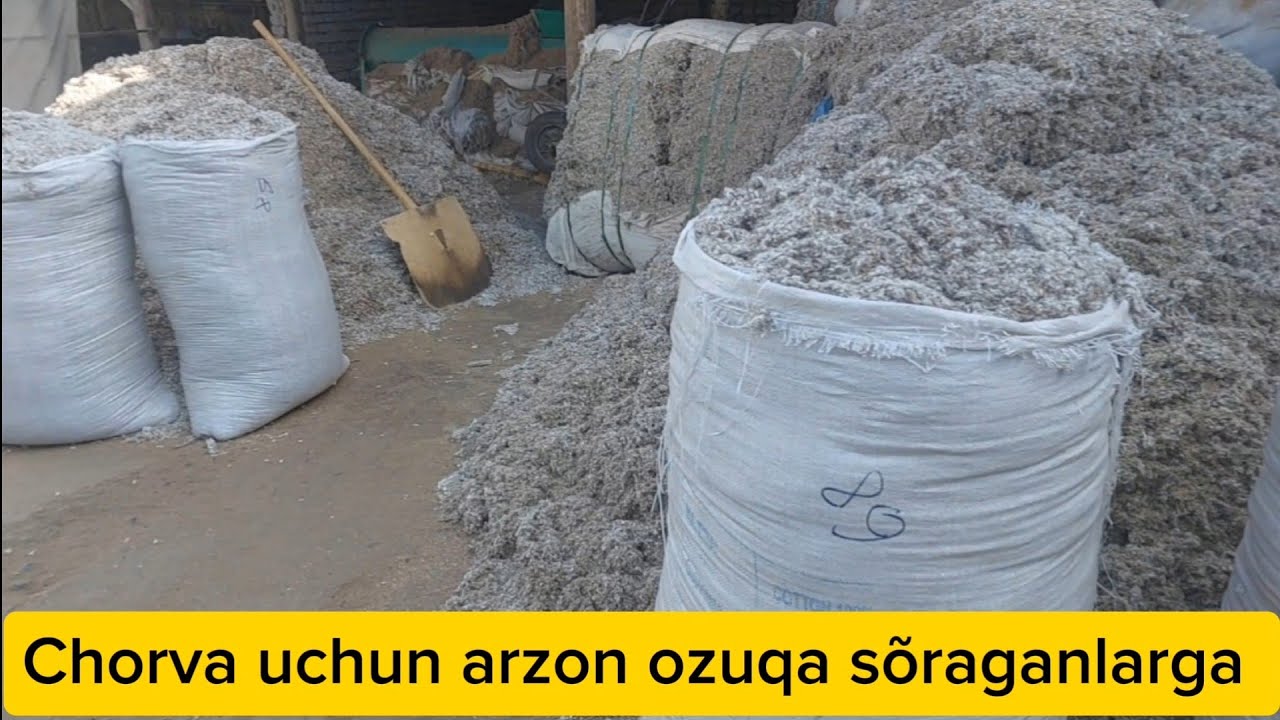 Mol va qõy uchun arzon ozuqa sõraganlarga+99890.580.15.98 - YouTube