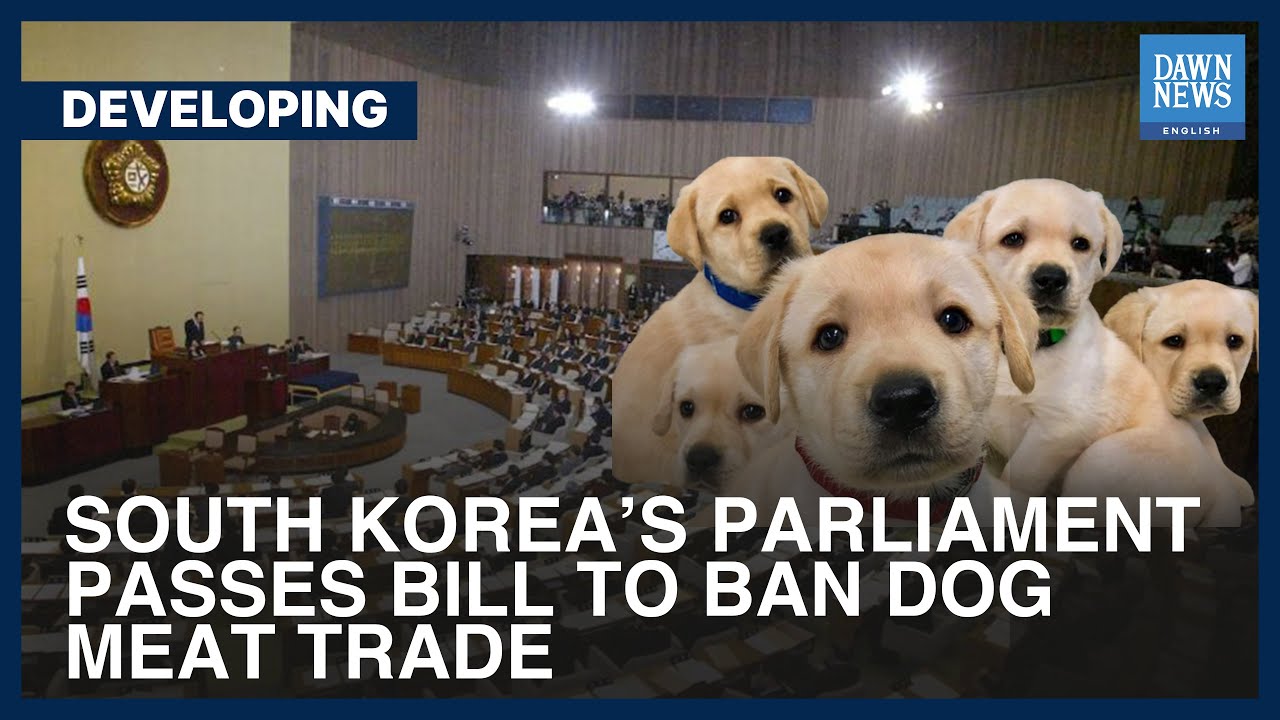 South Korea’s Parliament Passes Bill To Ban Dog Meat Trade | Dawn News ...