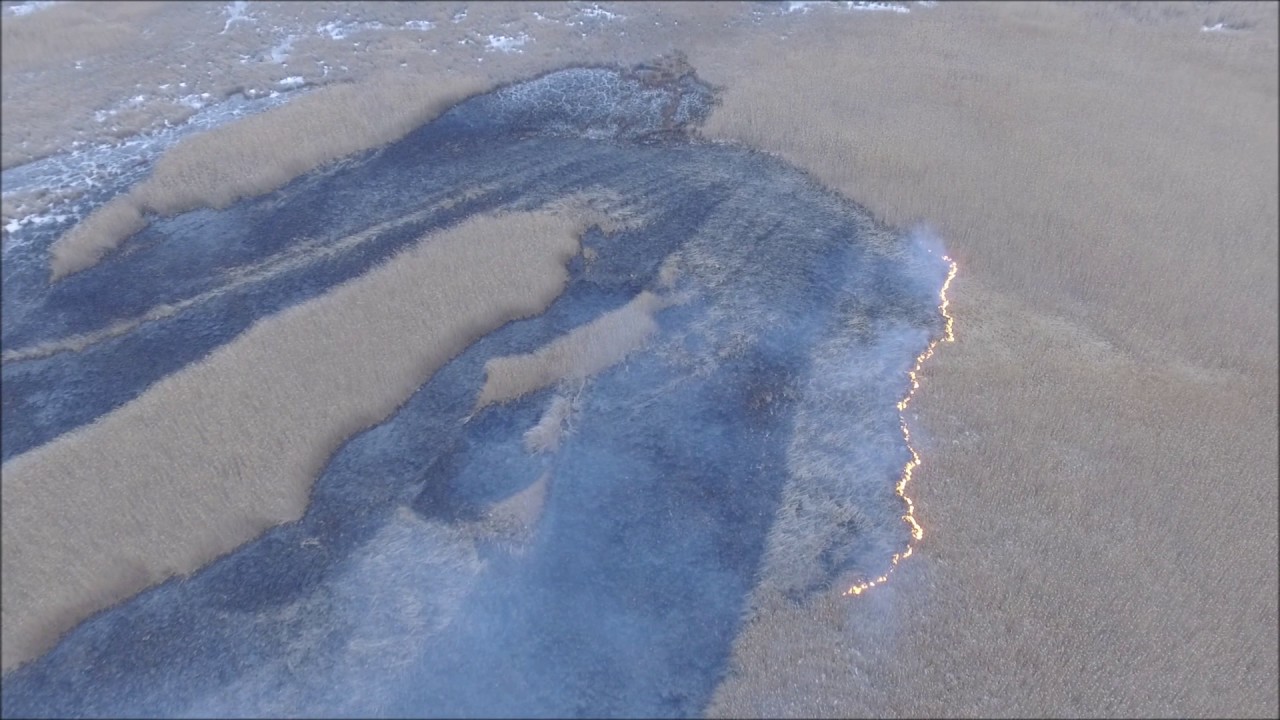 Walpole Brush Fire - YouTube