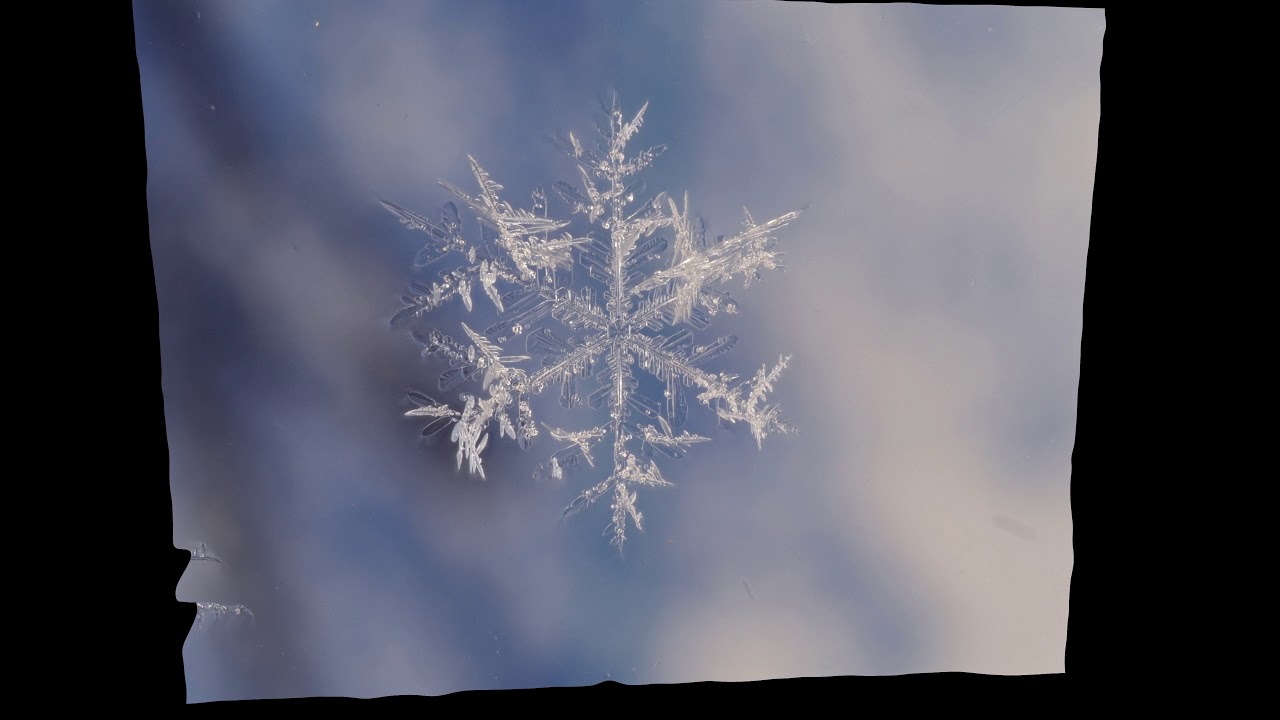 single dendrite snowflake with upwards growth - YouTube