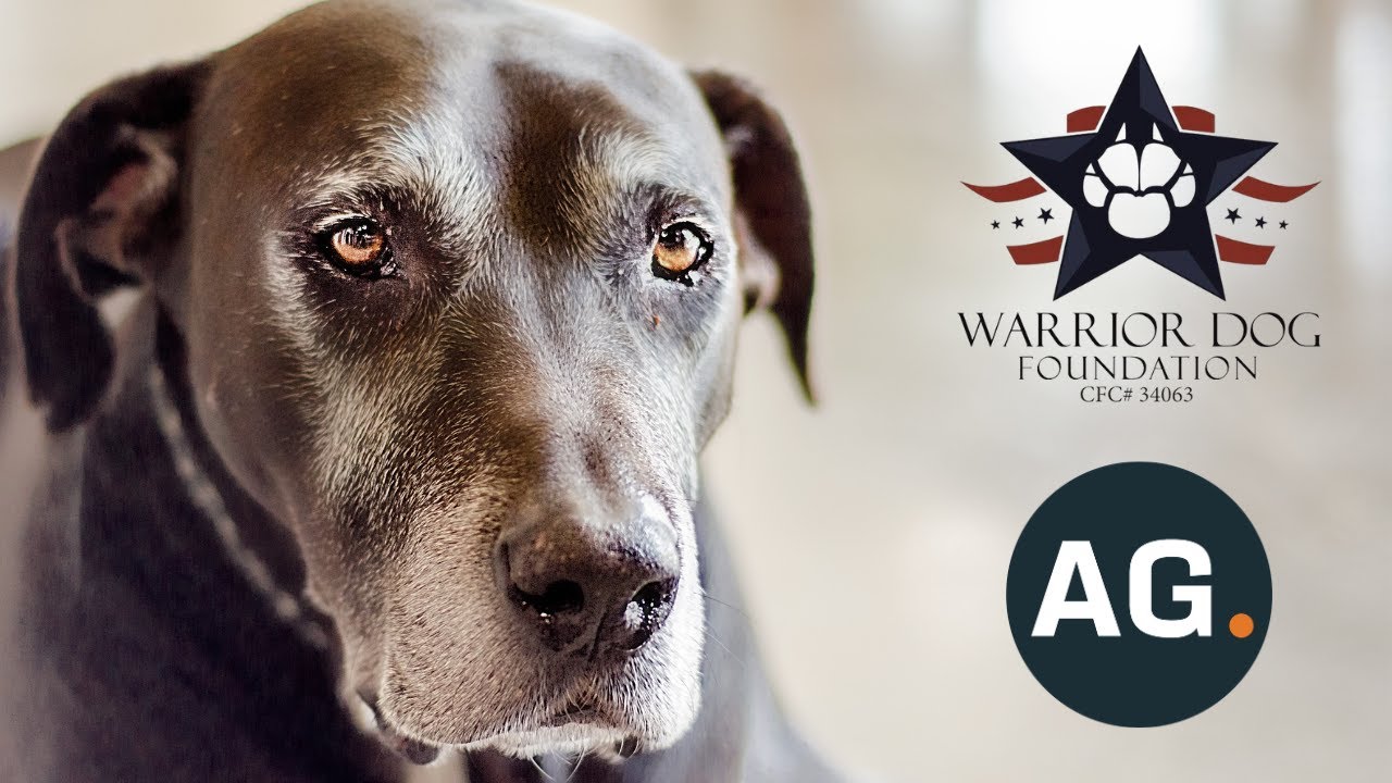 Giving Back to the Community: Warrior Dog Foundation - YouTube