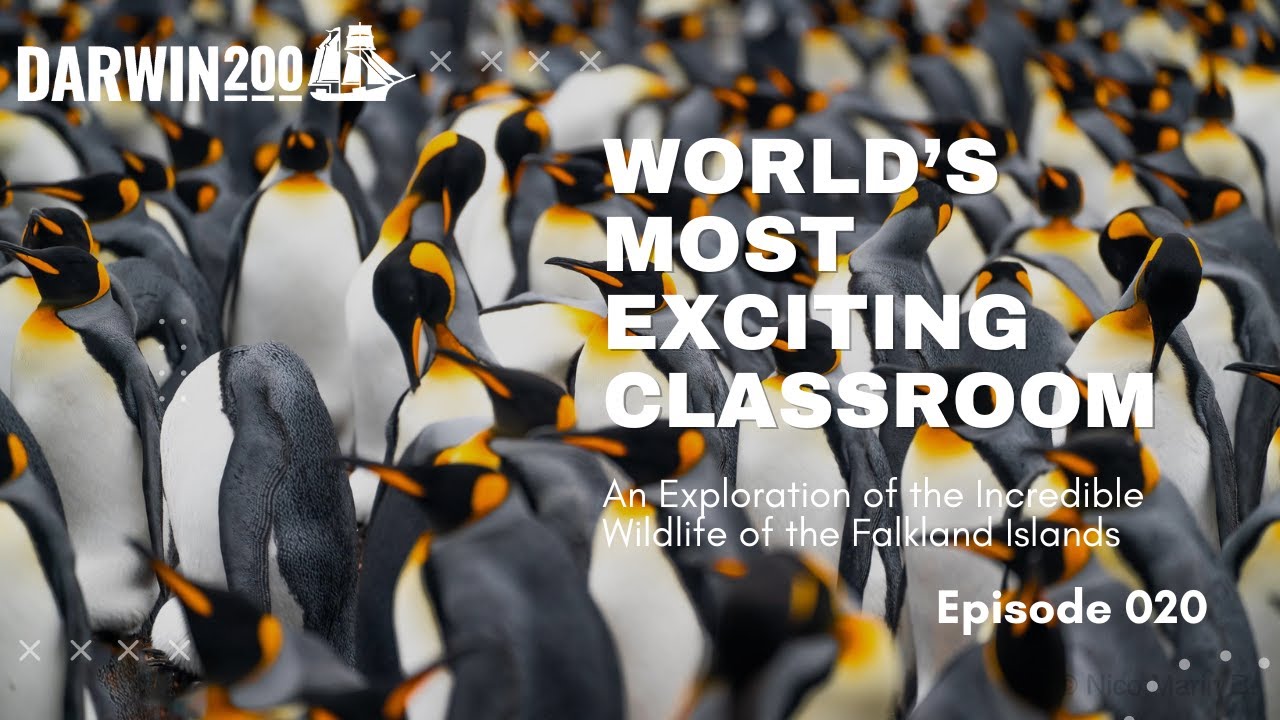 World's Most Exciting Classroom Episode 020: An Exploration of ...