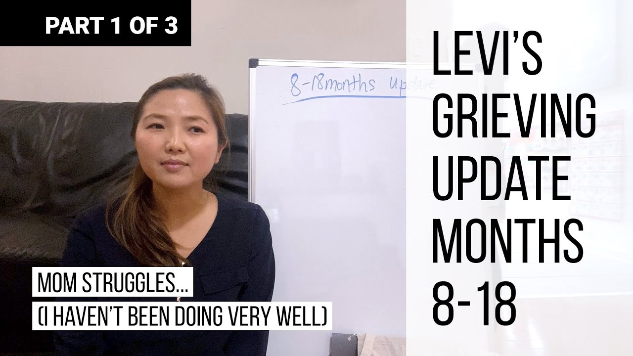 Levi Korean Adoption Grieving Update Months 8-18, Part 1 - YouTube