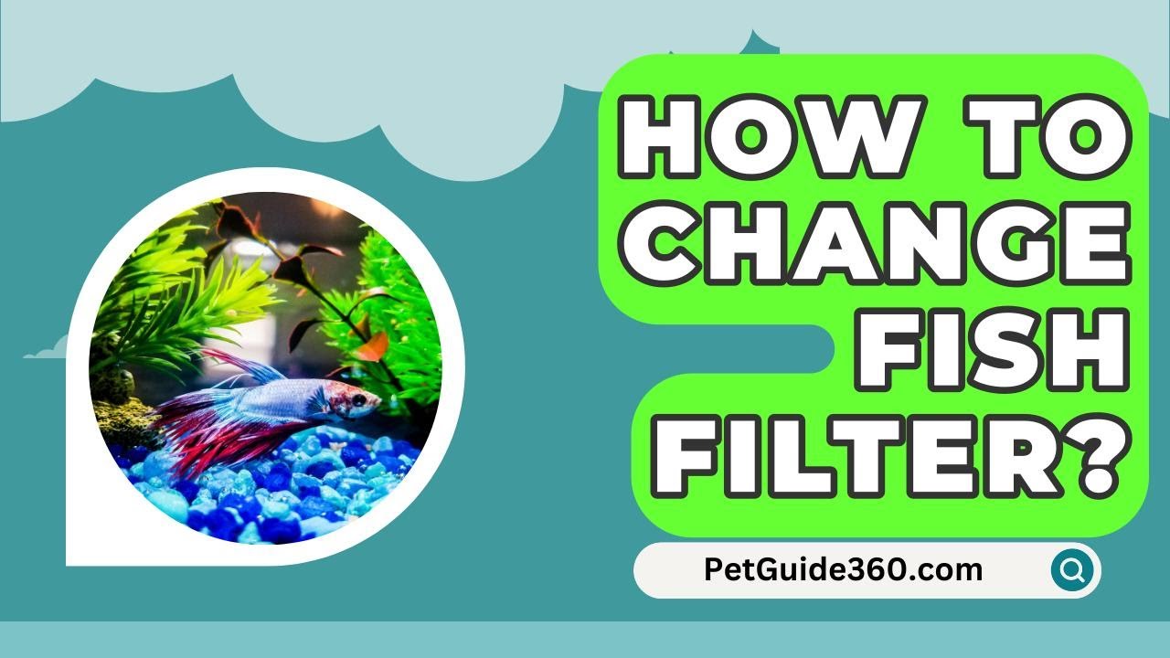 How To Change Fish Filter? - PetGuide360.com - YouTube