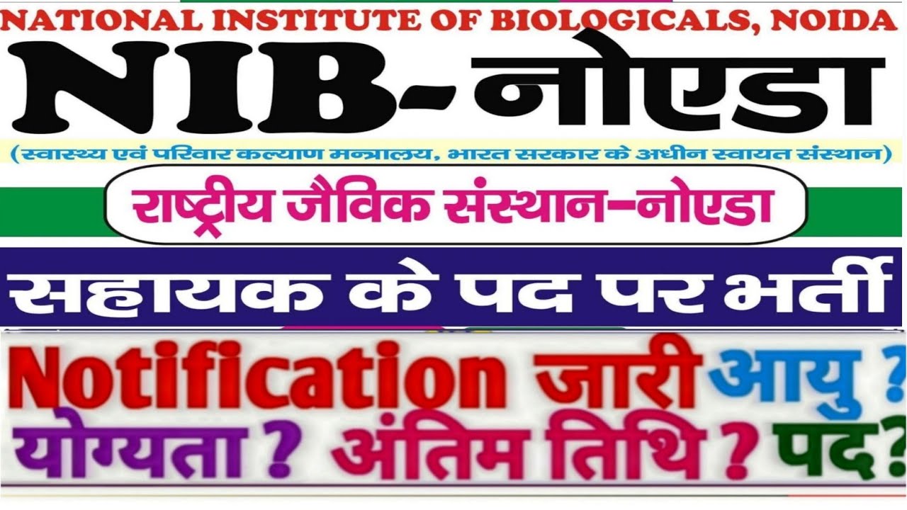 nib noida recruitment 2024|nib noida assistant vacancy 2024|national ...