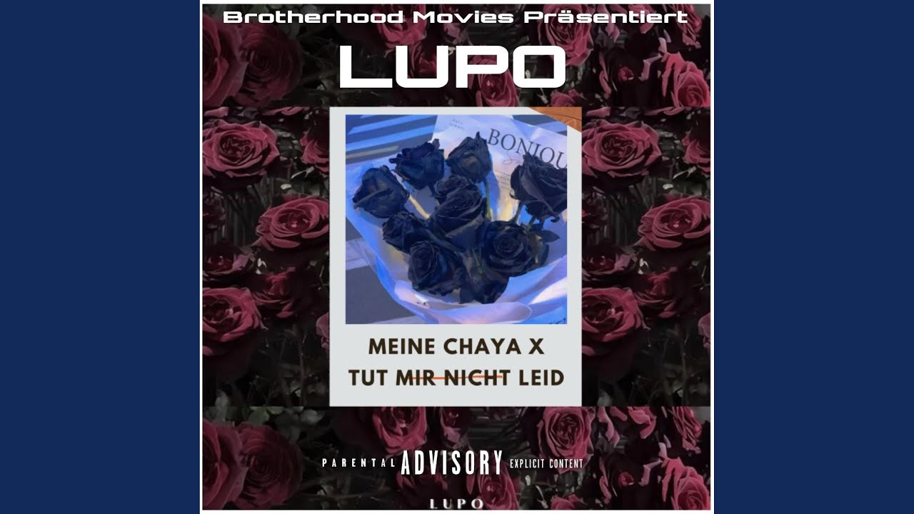 Meine Chaya - YouTube