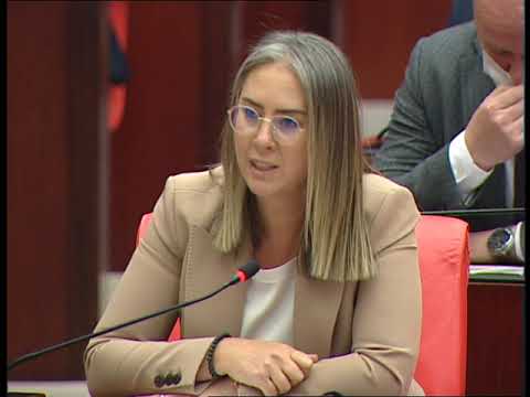 Ceyda BÖLÜNMEZ ÇANKIRI - TBMM Genel Kurulu'nda Ankara-İzmir Yüksek Hızlı Tren Projemiz Hakkında