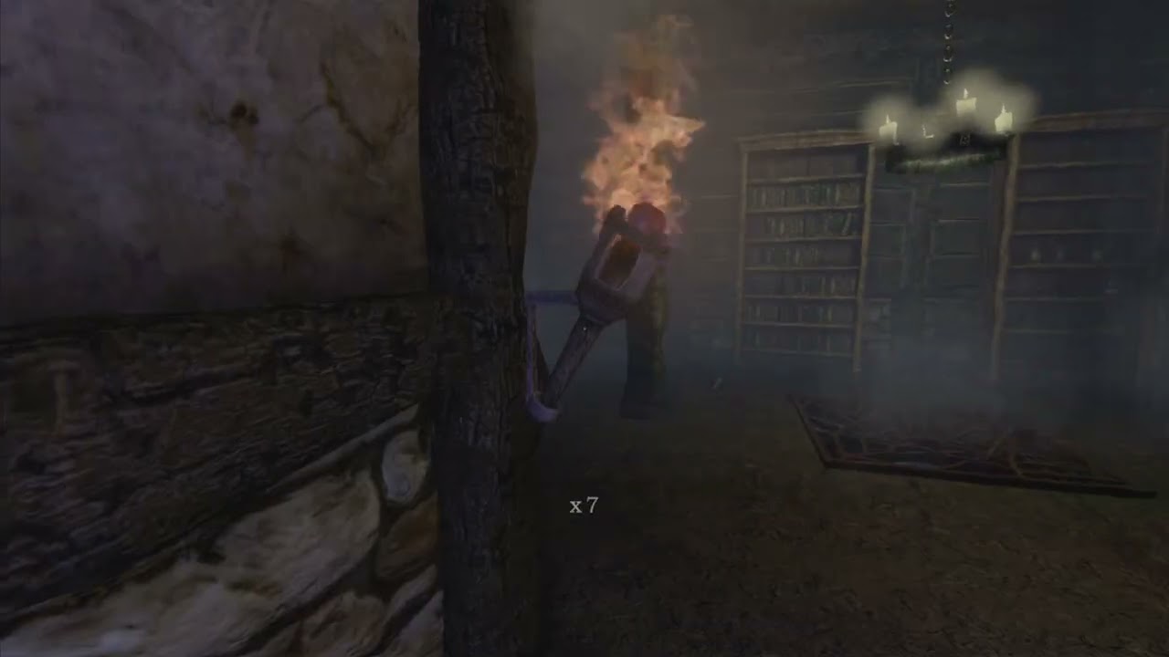 Amnesia The Dark Descent The Shadow