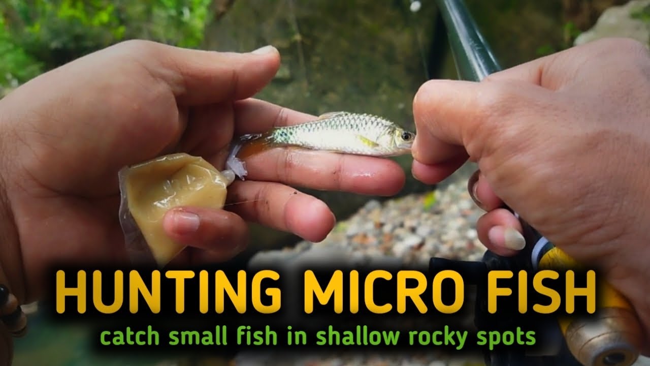 amazing micro fishing! catch small fish in shallow and rocky spots ...
