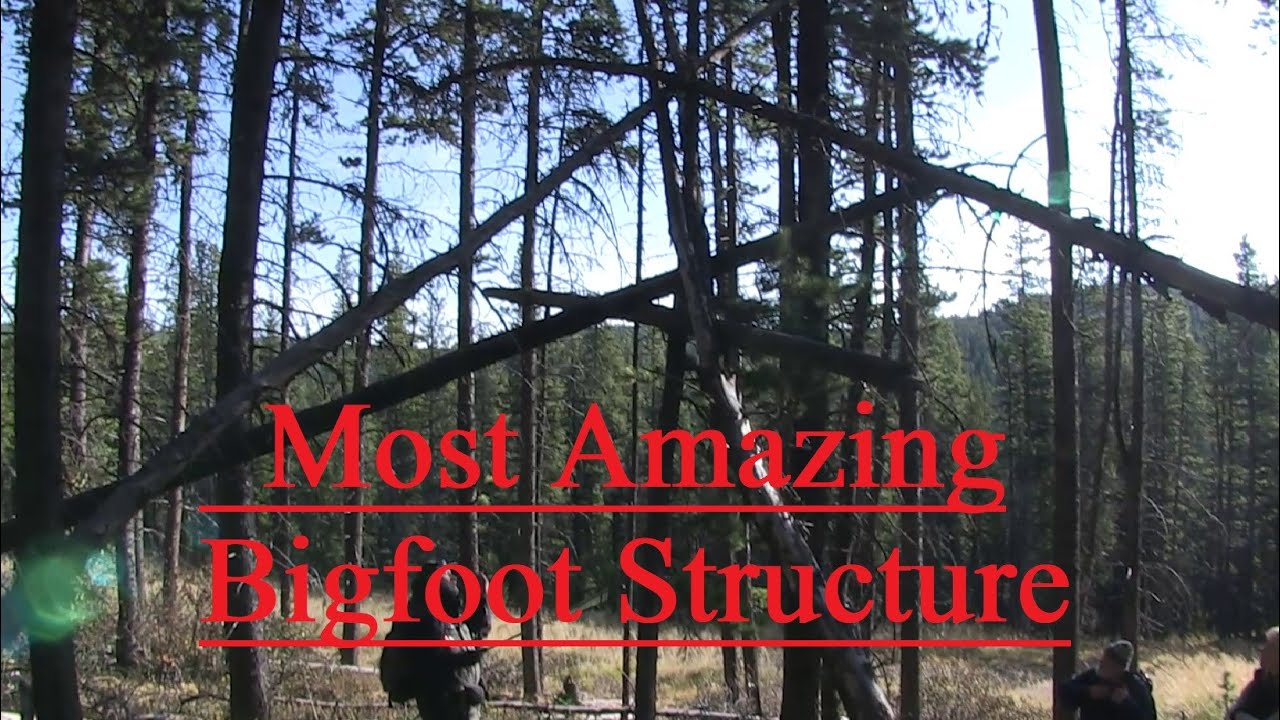 Most Incredible Bigfoot Structure Ever! Sasquatch outsmart Researchers ...