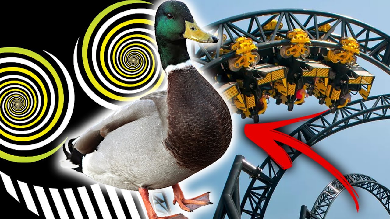 Disturbing Duck Attack at Alton Towers - YouTube