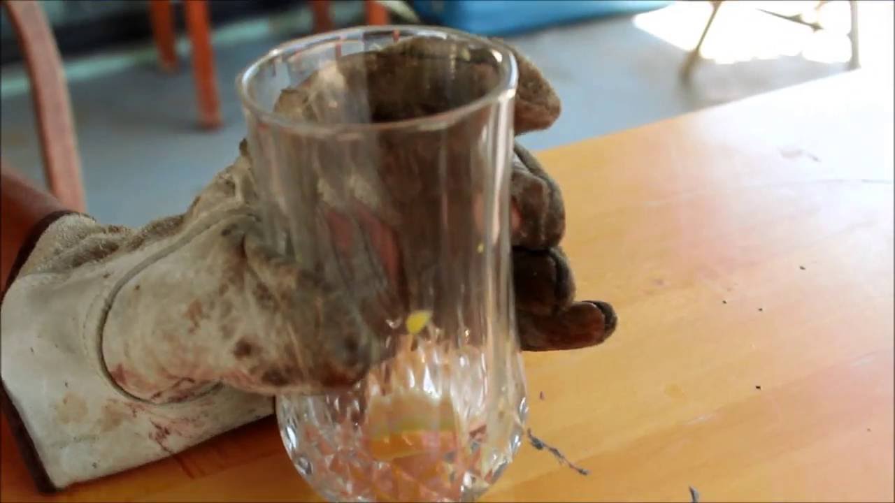(New) Homunculus Experiment!!! (Warning) - YouTube