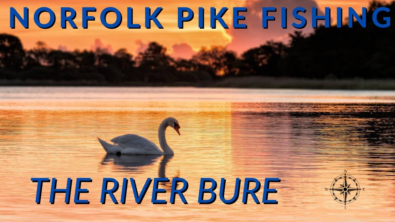 NORFOLK PIKE FISHING, THE RIVER BURE, PIKE FISHING UK, RIVER PIKE ...