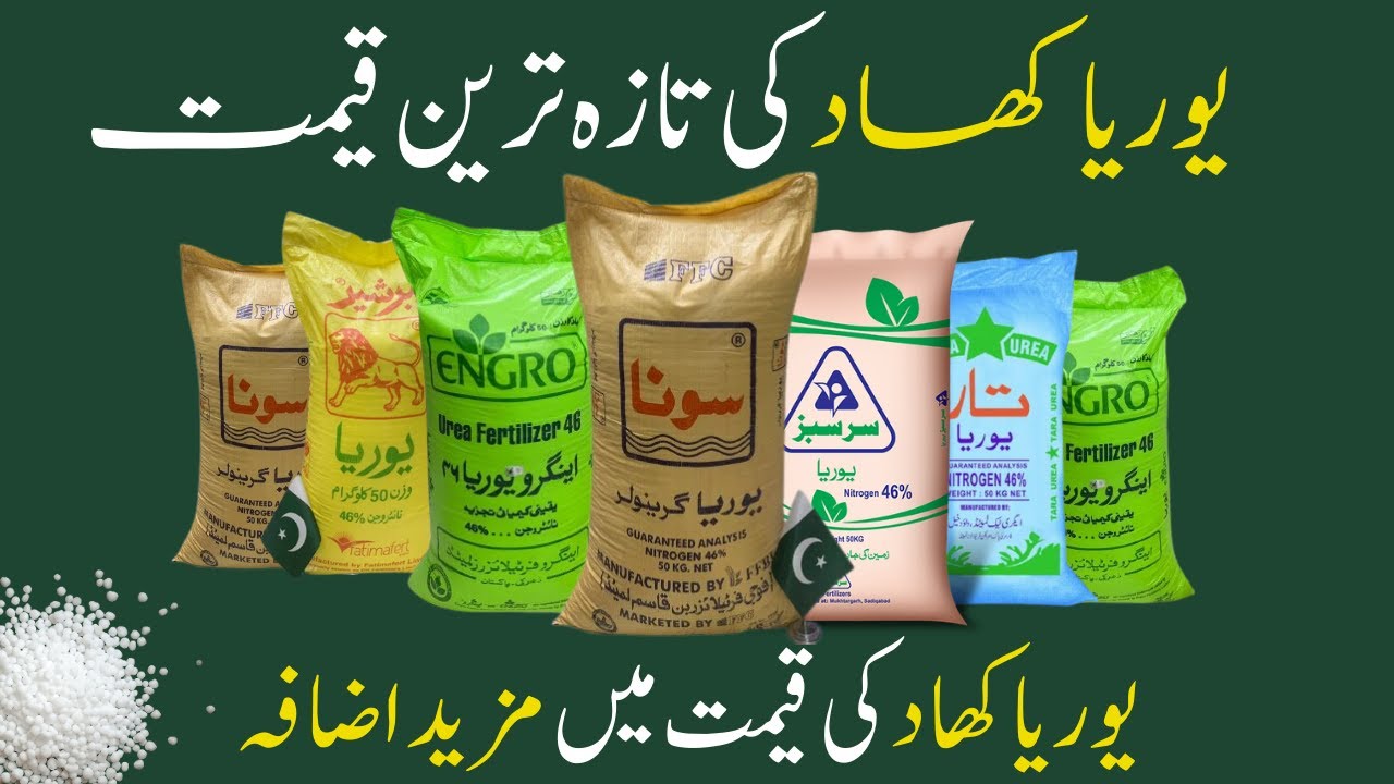 Sona Urea Price in Pakistan Today 2024 | Today Sona Urea Rate Increased ...