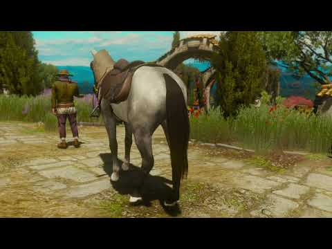 The Stable - Witcher 3 Horse Customization Mod - WIP