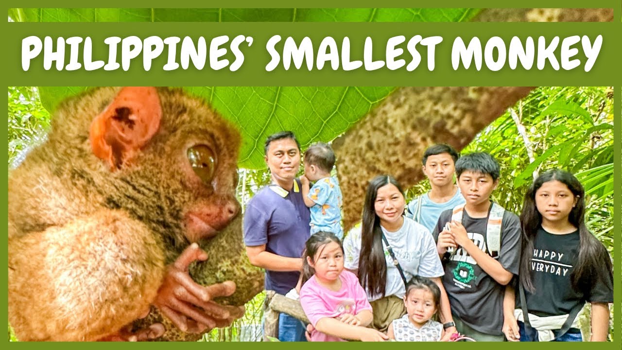 SMALLEST MONKEY IN THE PHILIPPINES | SECOND IN THE WORLD | CHOCOLATE ...