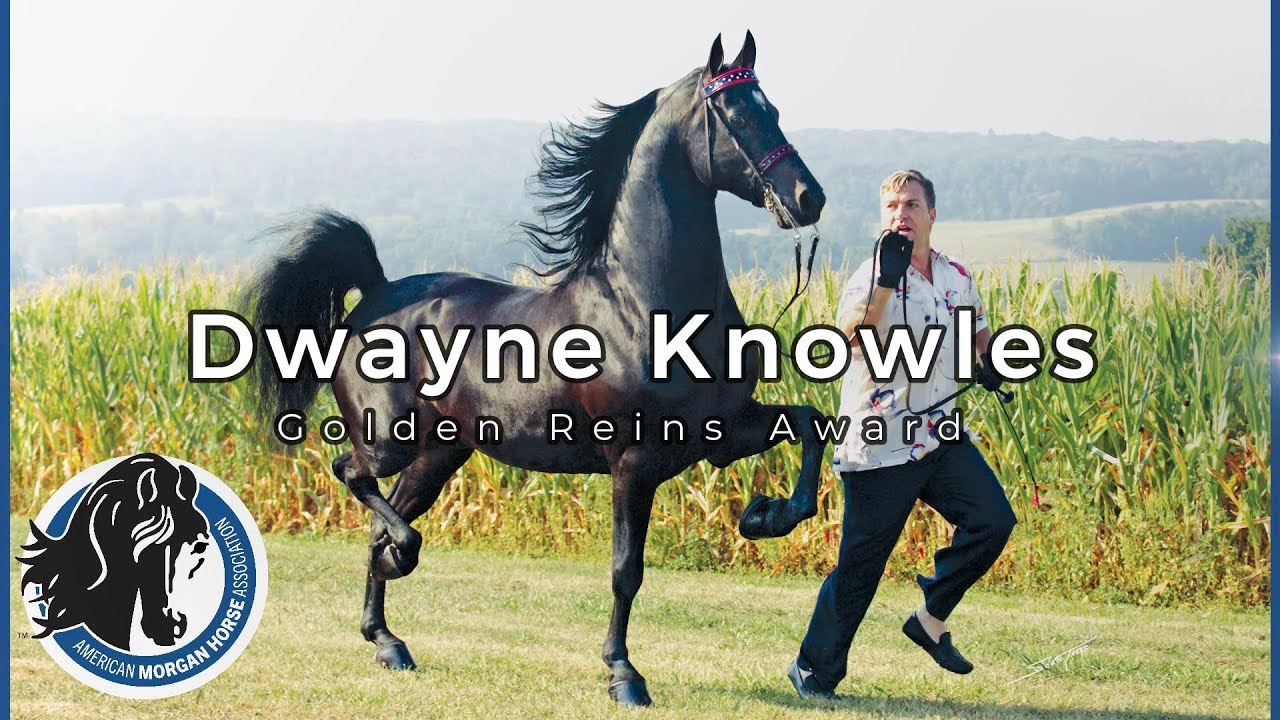 Dwayne Knowles - 2022 Golden Reins - YouTube