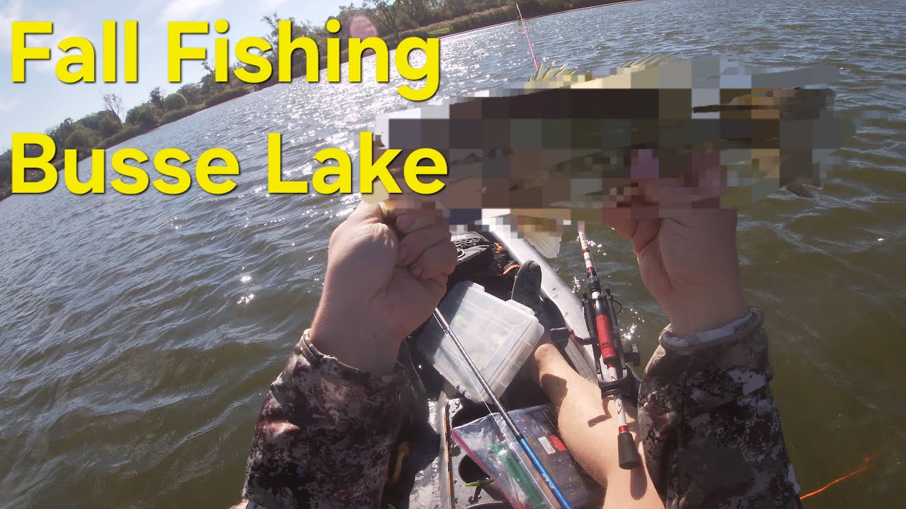 Fishing Busse Lake , Illinois - YouTube