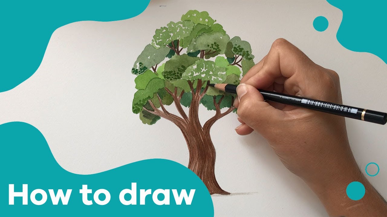 The Girl Who Talked to Trees: Draw along with Lydia Corry - YouTube