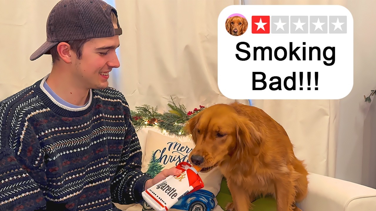 My Dogs Test 1 Star Christmas Presents🎁 - YouTube