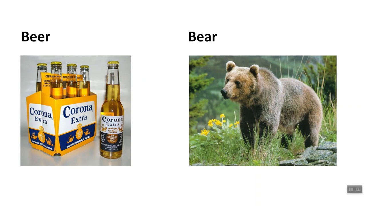 How To Pronounce Beer Vs Bear YouTube how-to-pronounce-beer-vs-bear-youtube