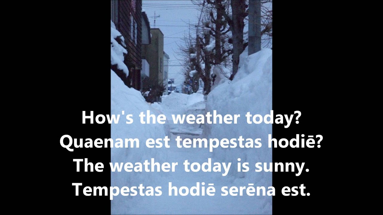 Simple Questions in Latin and English - YouTube