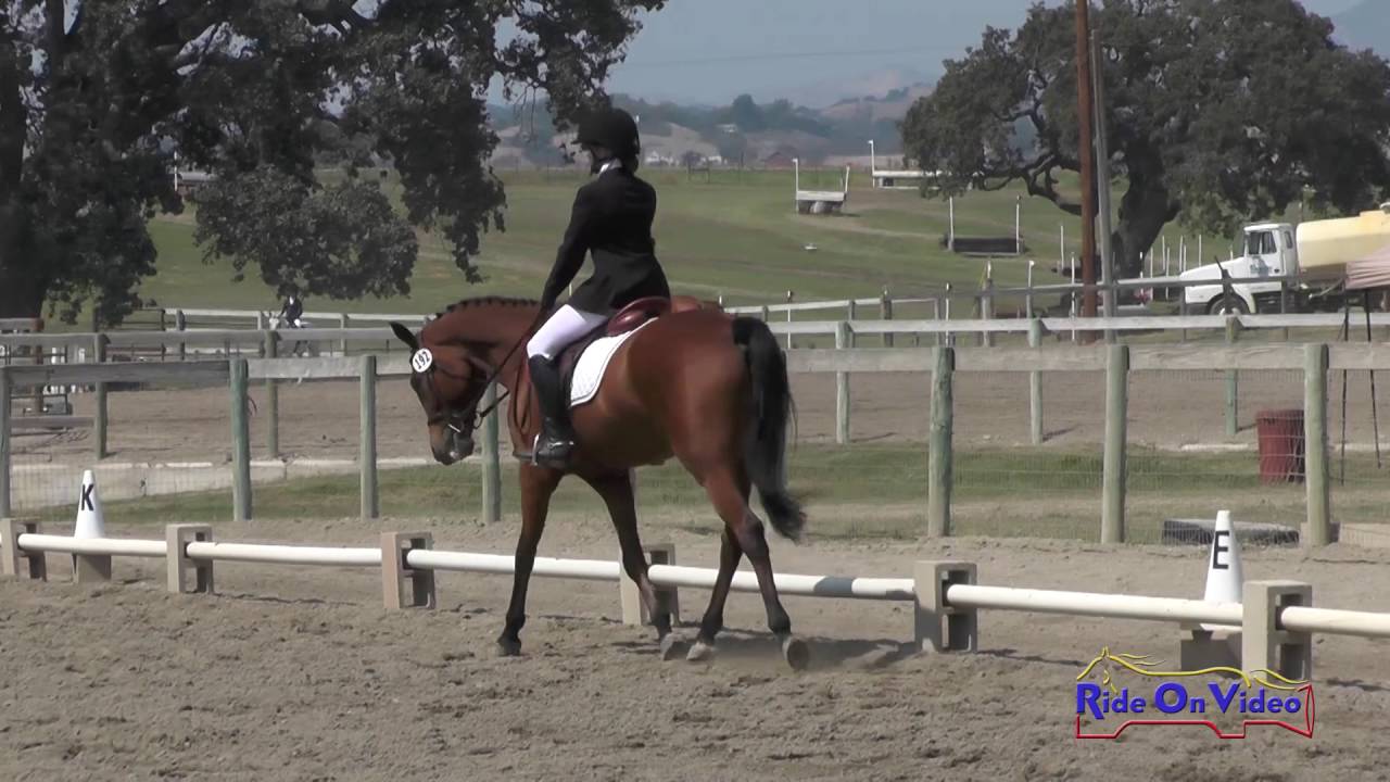 192D Maxine Strachan on Boing JR Beginner Novice Dressage Shepherd ...