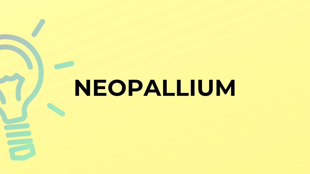 What is the meaning of the word NEOPALLIUM? - YouTube