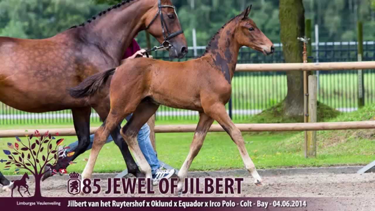 85 Jewel of Jilbert - YouTube