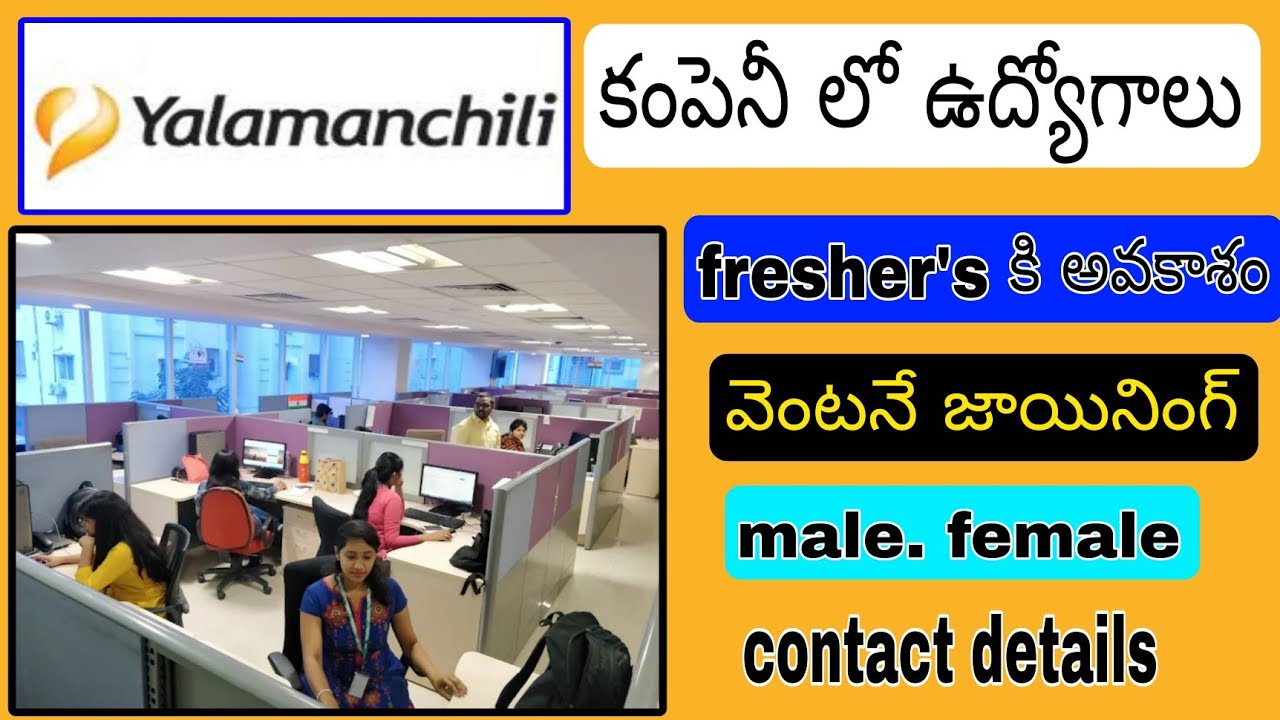 yalamamchil software company jobs openings for freshers full ...