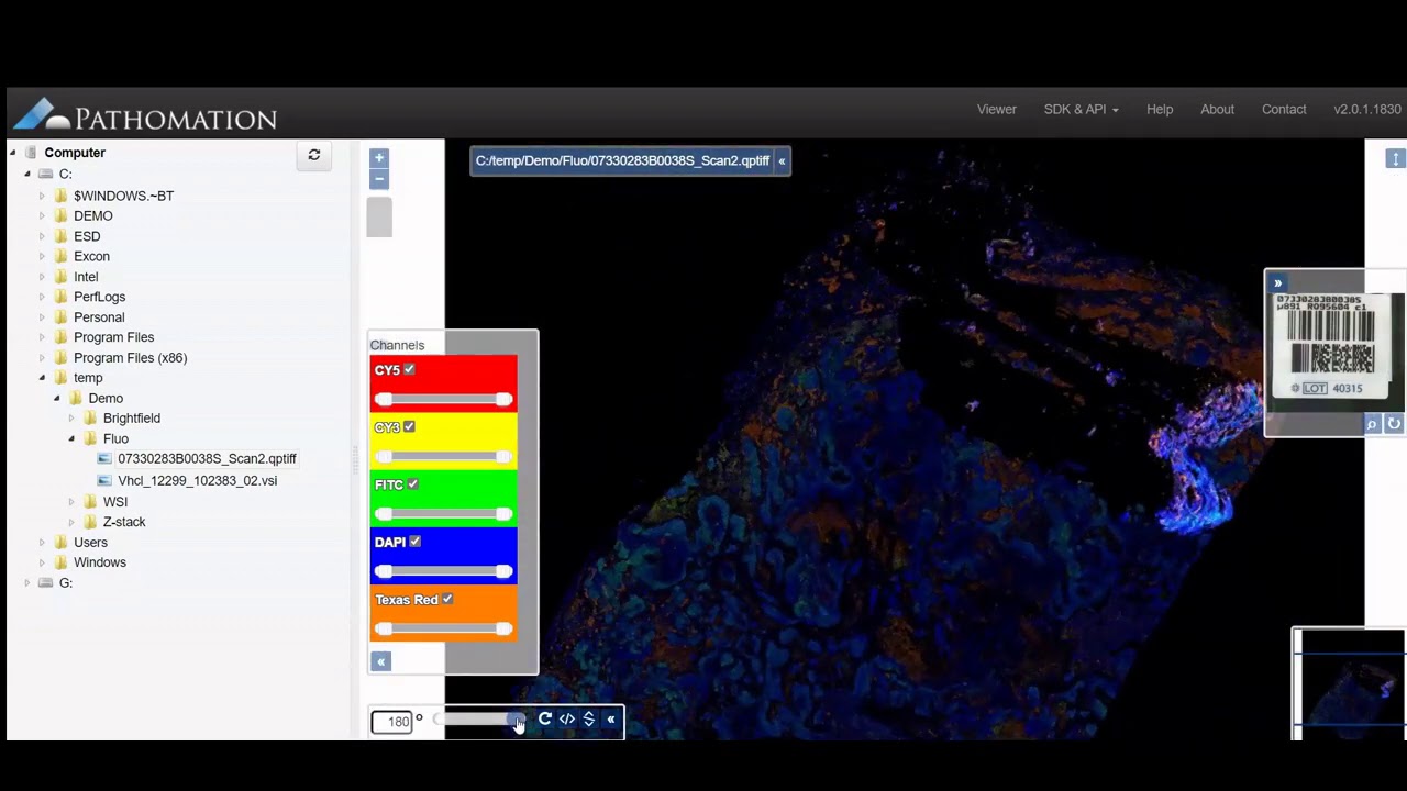 How to look at fluorescent whole slide images with PMA.start? - YouTube