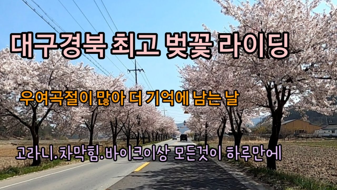 빼군은 할리를 입는다 대구 경주 벚꽃투어할리데이비슨 소프테일디럭스로드킹포티에잇아이언883로드글라이드다이나슈퍼글라이드