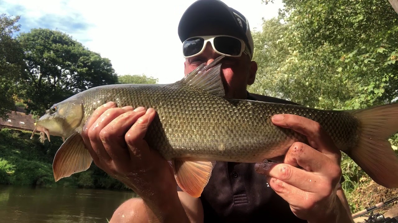 Barble fishing at quatford 4 October 2019 - YouTube