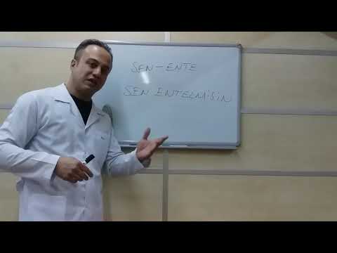 arapca ezbermatik ben, sen,  o kelime anlamları ene, ente, huve