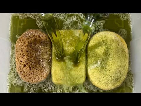 BREATH O PINE 🌲 ASMR RELAXING SPONGE SQUEEZING 🤗🧽 - YouTube