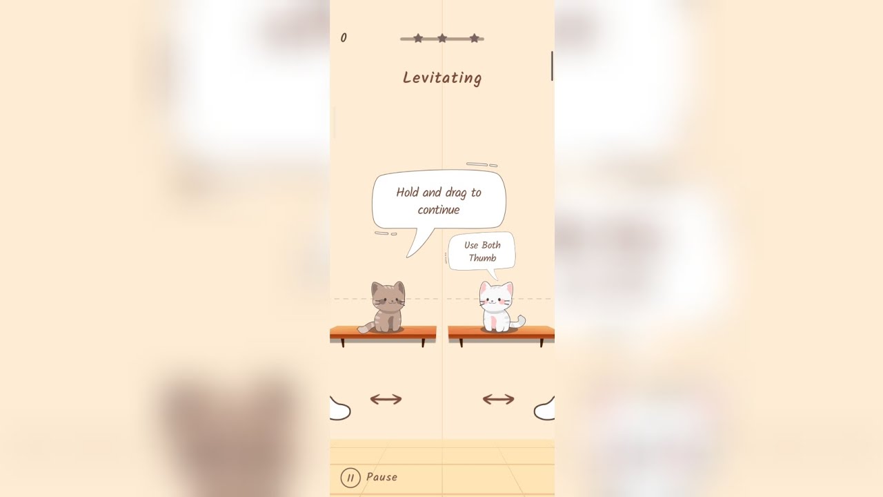 "Duet Cats - Levitating" - YouTube