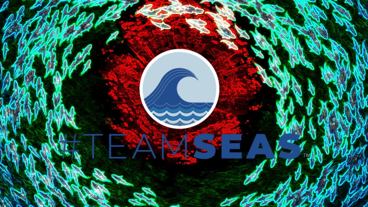 TeamSeas with Mr. Beast #TeamSeas - YouTube