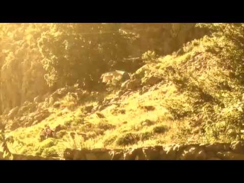 Bahar'ın Gelişi (Doğaçlama) | Gökhan Vardar