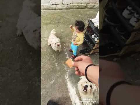 bisküvisini paylaşmayan küçük çocuk