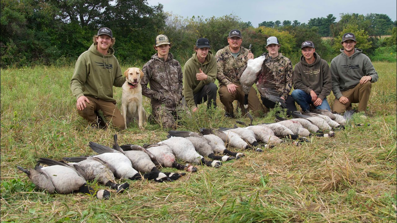 Weedy Field Goose Hunt (Banded Honker!!!) - YouTube