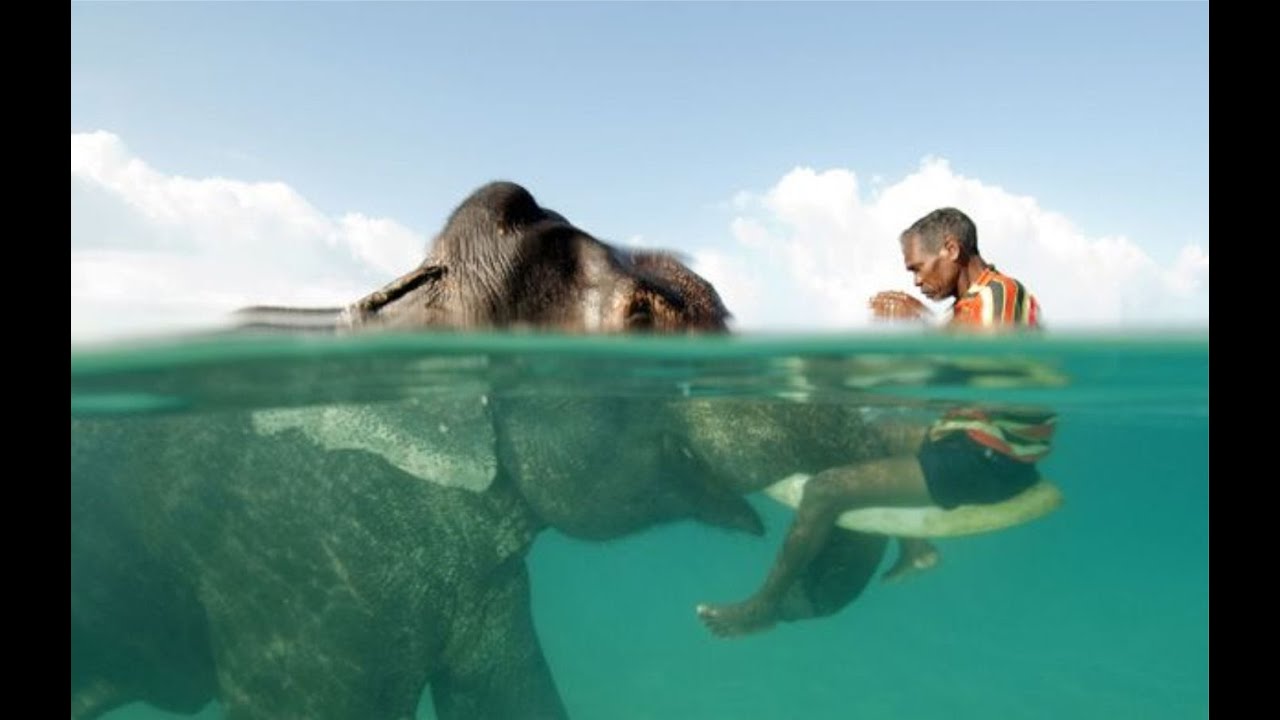 PERSONAS INCREIBLES GENTE EXTRAORDINARIA IMPRESIONANTE - YouTube