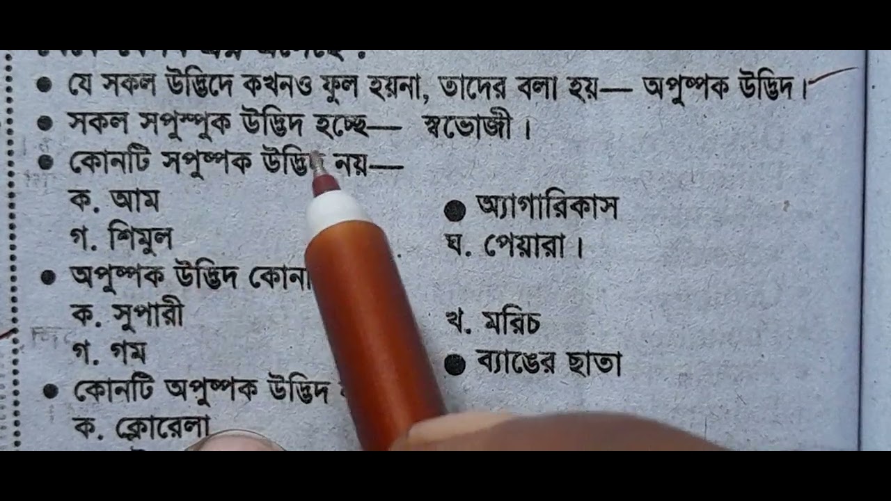 primary job preparation - YouTube