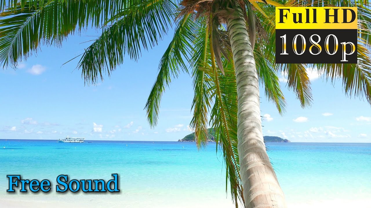 Relaxing Waves Ever - Playa de Piticabo Ocean Sounds to Sleep, Study ...