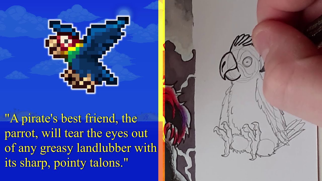 Terraria DRAWING - Parrot - YouTube