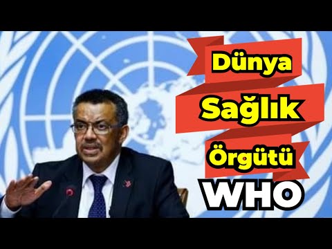 Dünya Sağlık Örgütü WHO Nedir?