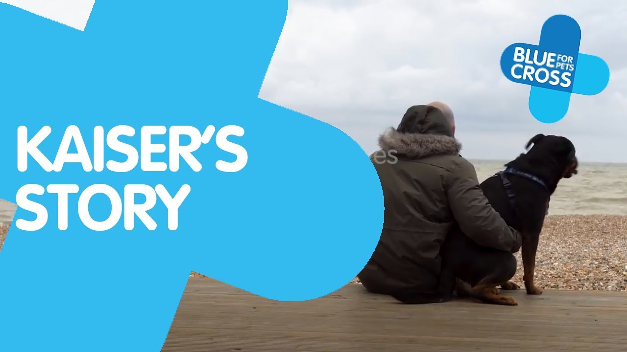 Blue Cross Charity Pets