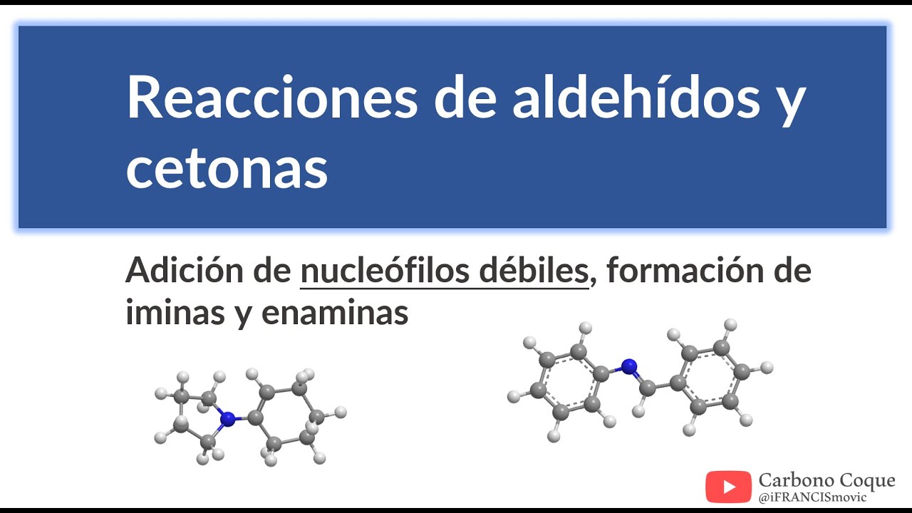Reacciones de Aldehídos y Cetonas: Formación de Iminas y Enaminas - YouTube